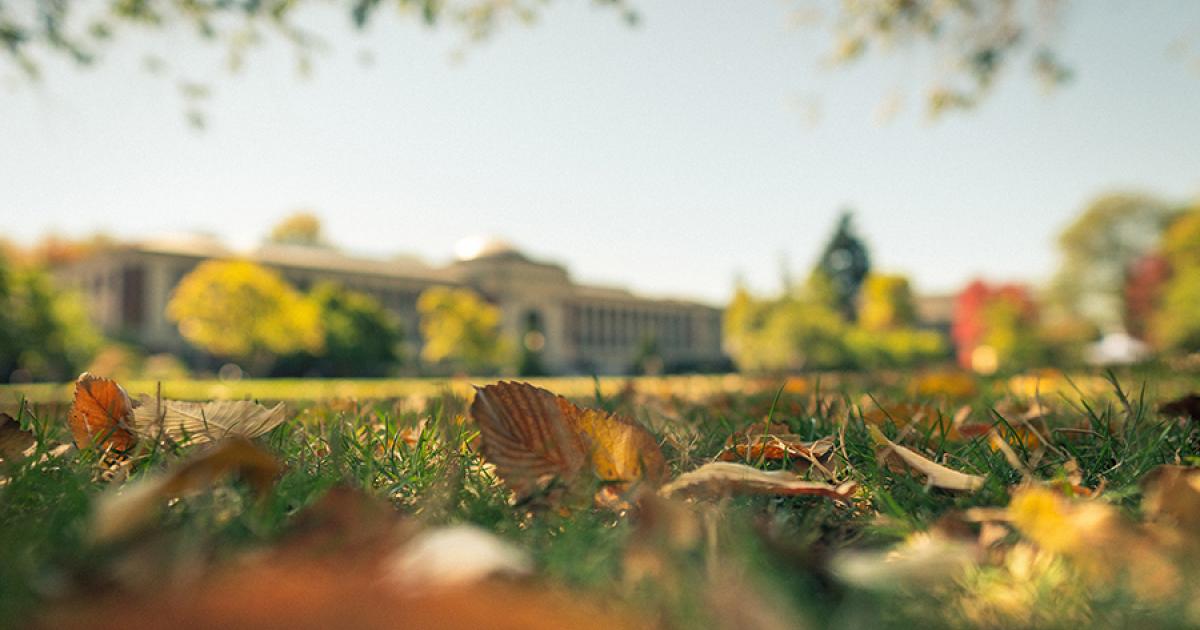Gabor Temes Profile | College of Engineering | Oregon State University