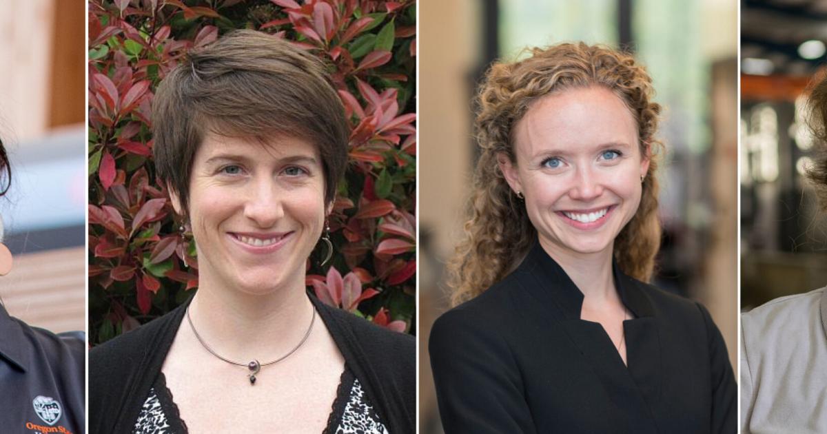 Four faculty win early-career investigator awards | College of ...