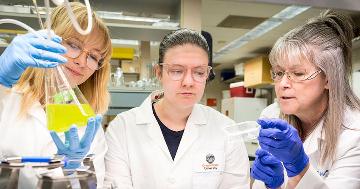 The hidden hazards of the nano world | College of Engineering | Oregon ...