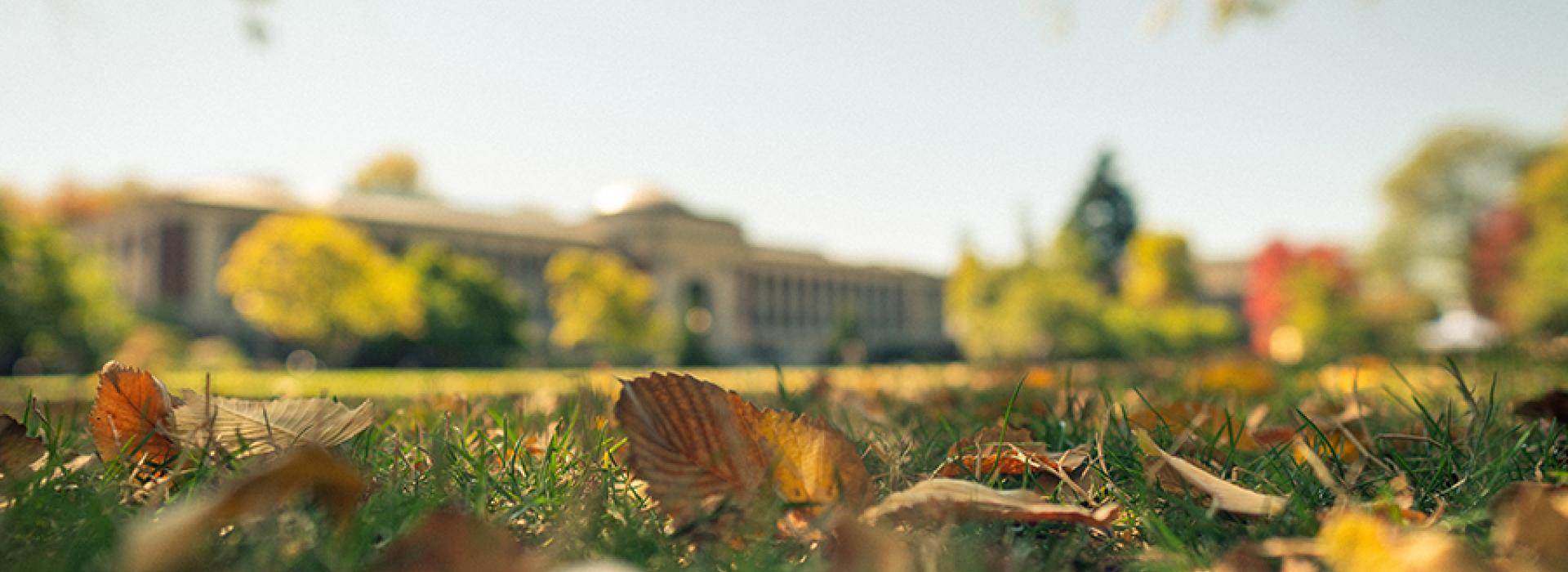 Gabor Temes Profile | College of Engineering | Oregon State University