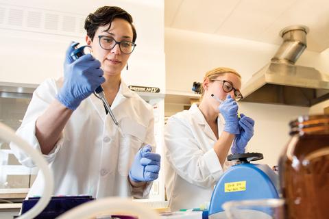 Tracking antibiotic resistance in the canals of Ho Chi Minh City ...
